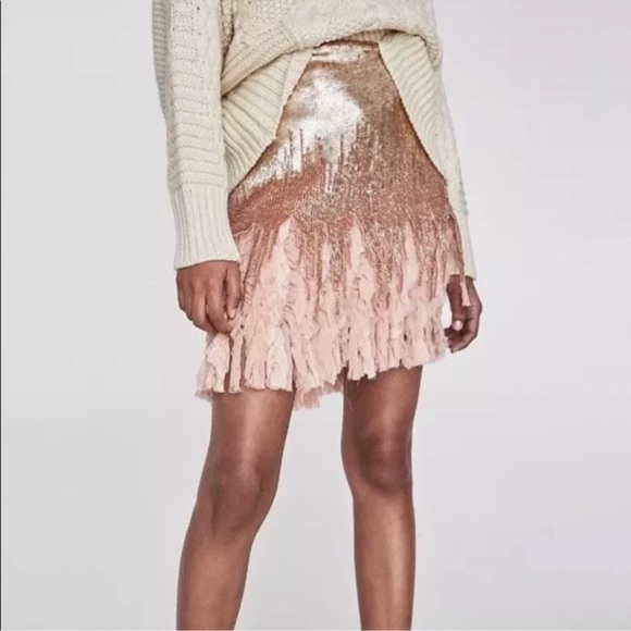Zara | Skirts | Zara Pink Sequin Fringe Mini Skirt | Poshmark